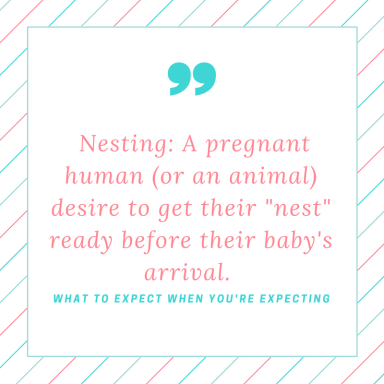 Signs of Nesting - Caitlin Houston