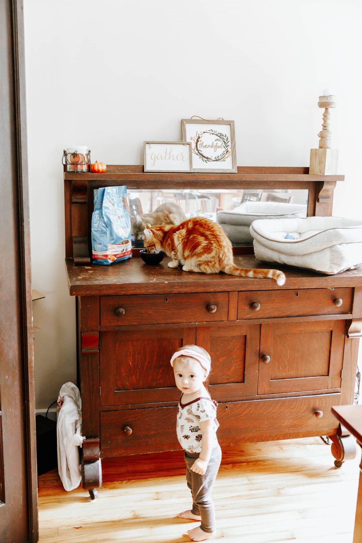 How to Create a Safe Space for Babies and Pets