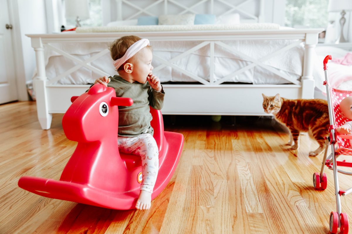 How to Create a Safe Space for Babies and Pets