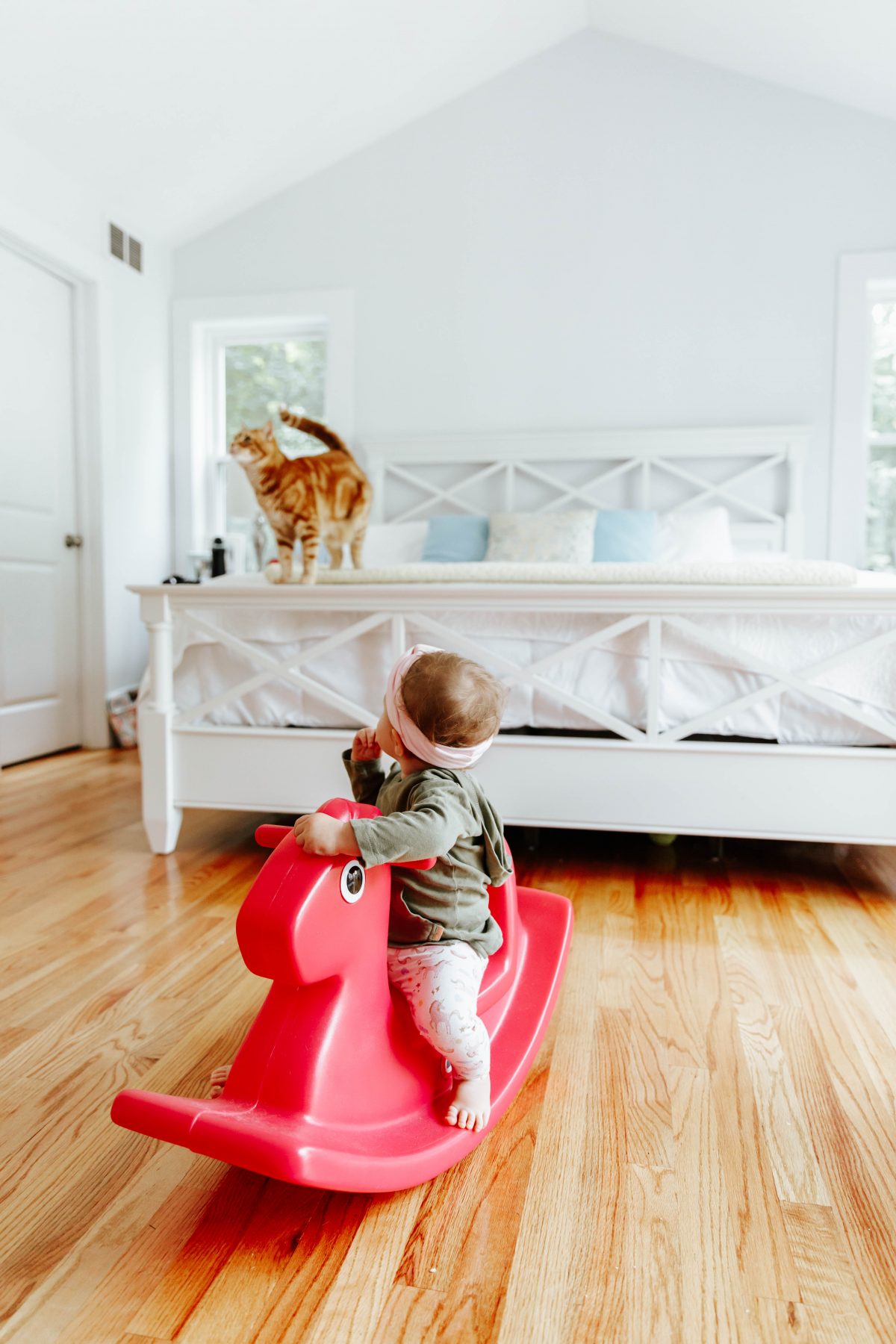 How to Create a Safe Space for Babies and Pets