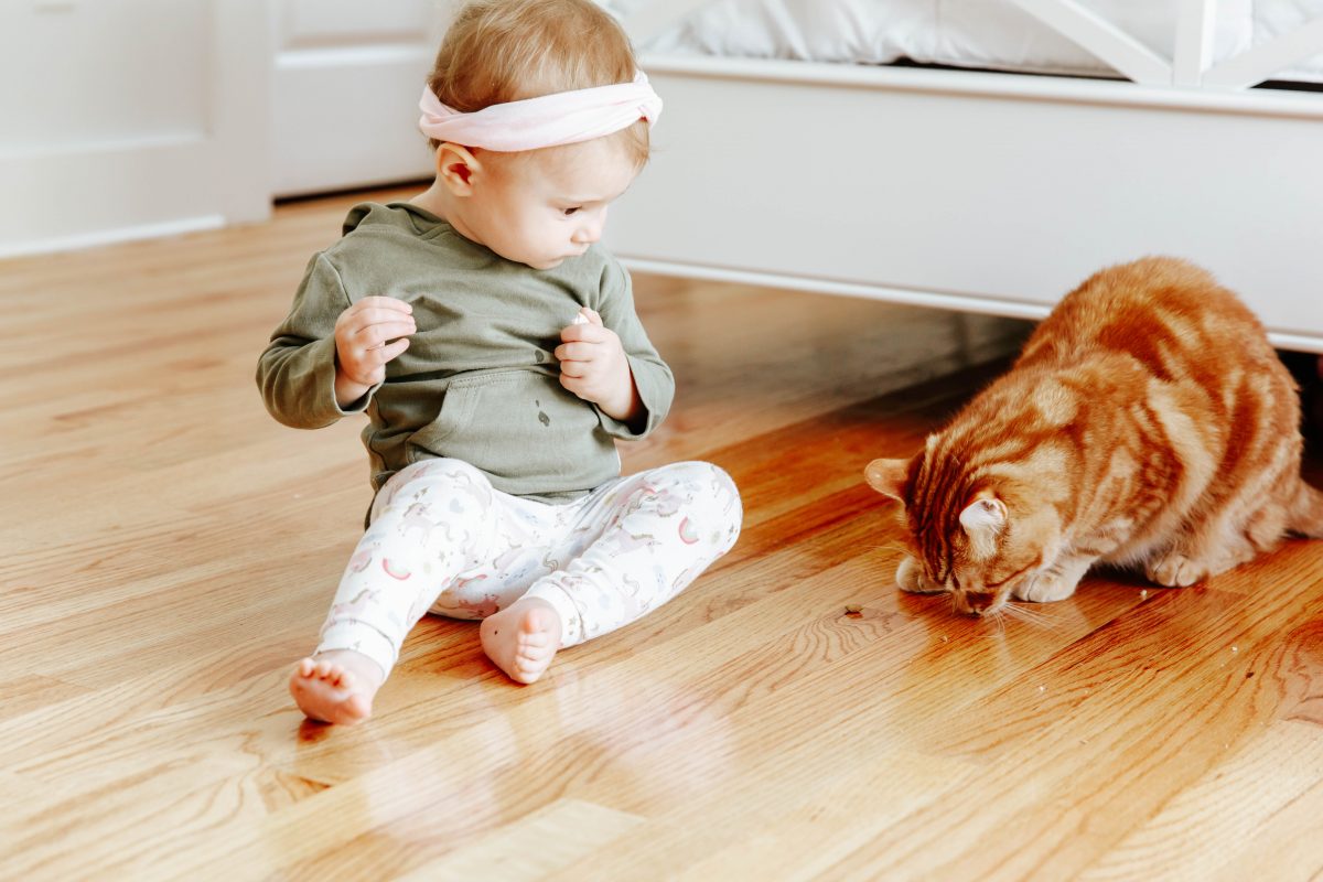 How to Create a Safe Space for Babies and Pets