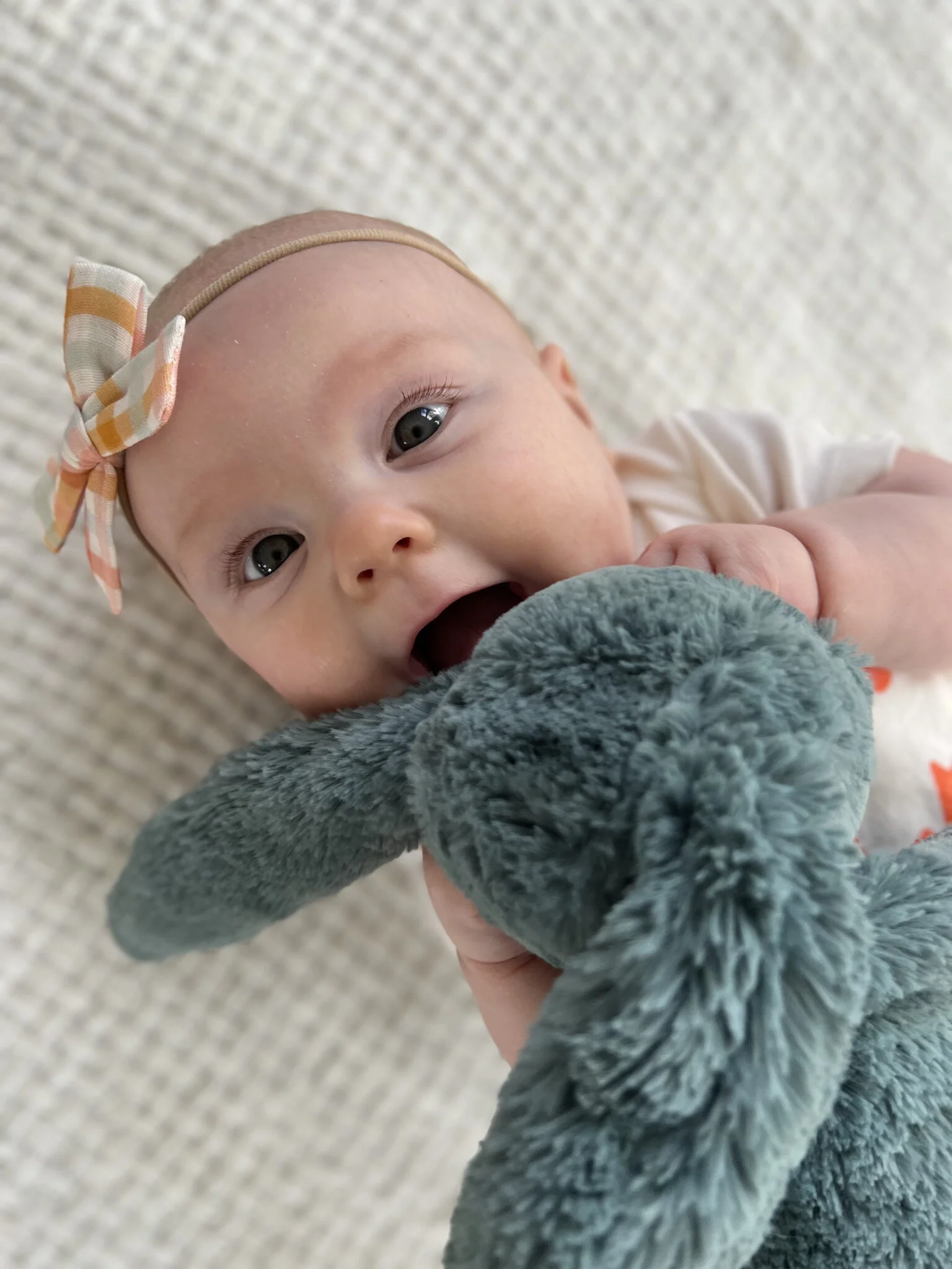 Arbor - Four Months Old - Caitlin Houston