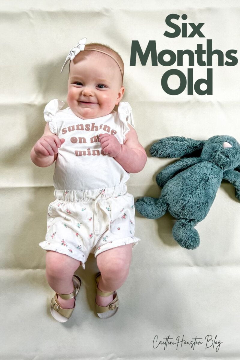 Arbor - Six Months Old - Caitlin Houston
