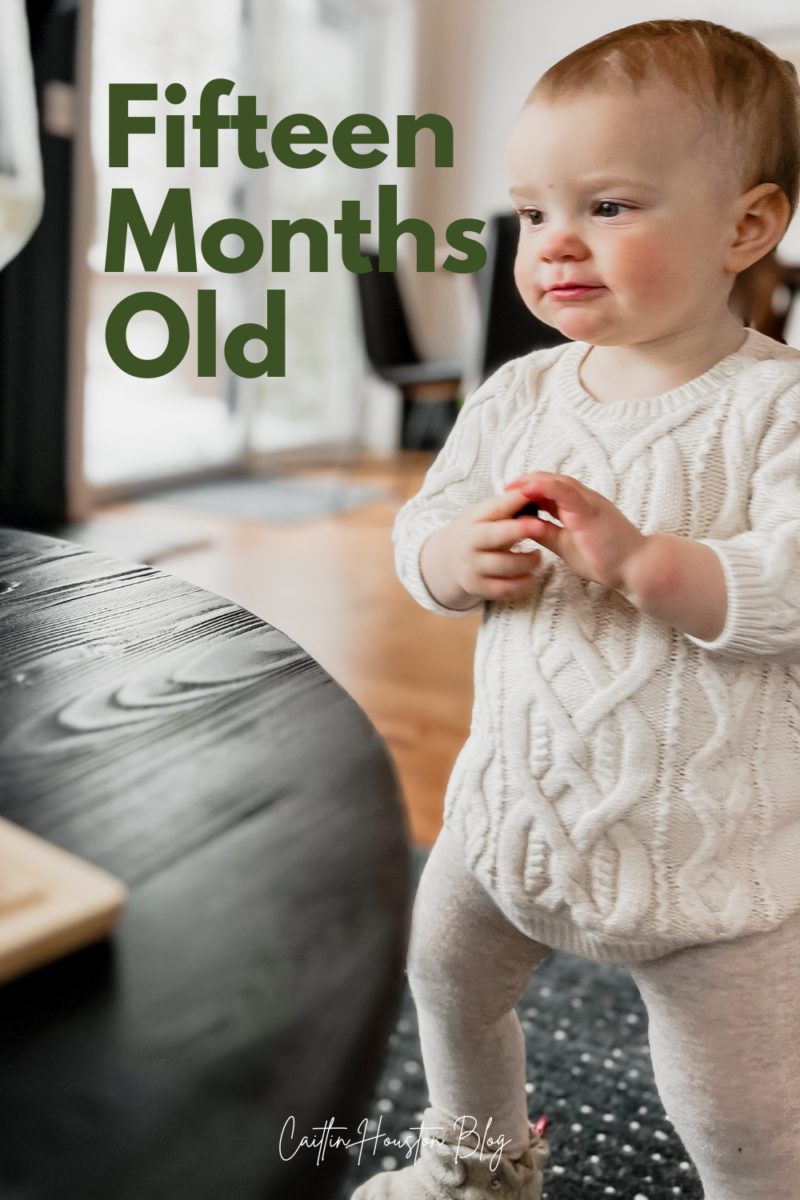 Arbor - 15 Months Old - Caitlin Houston