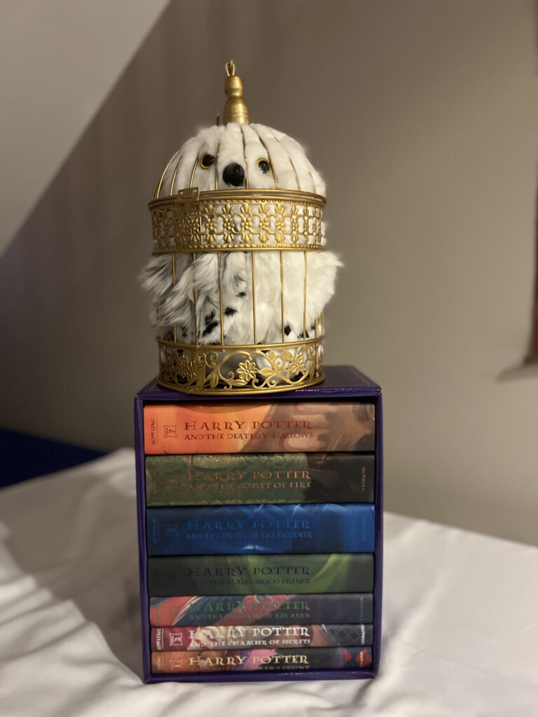 A Magical Wizarding Week at Ocean Edge Resort